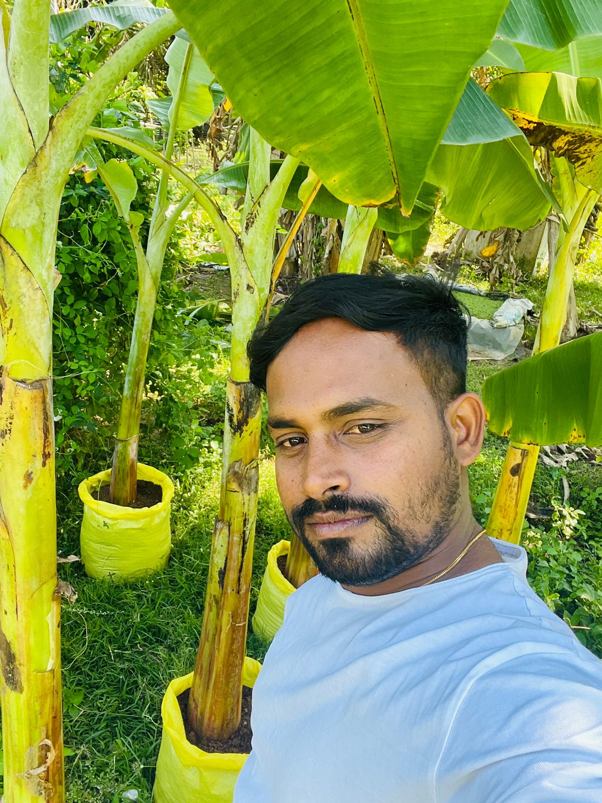 TREE PLANTING & POVERTY ELIMINATION – Lanka Fundamental Rights Organization