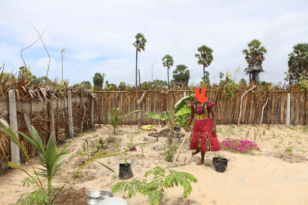 TREE PLANTING & POVERTY ELIMINATION – Lanka Fundamental Rights Organization