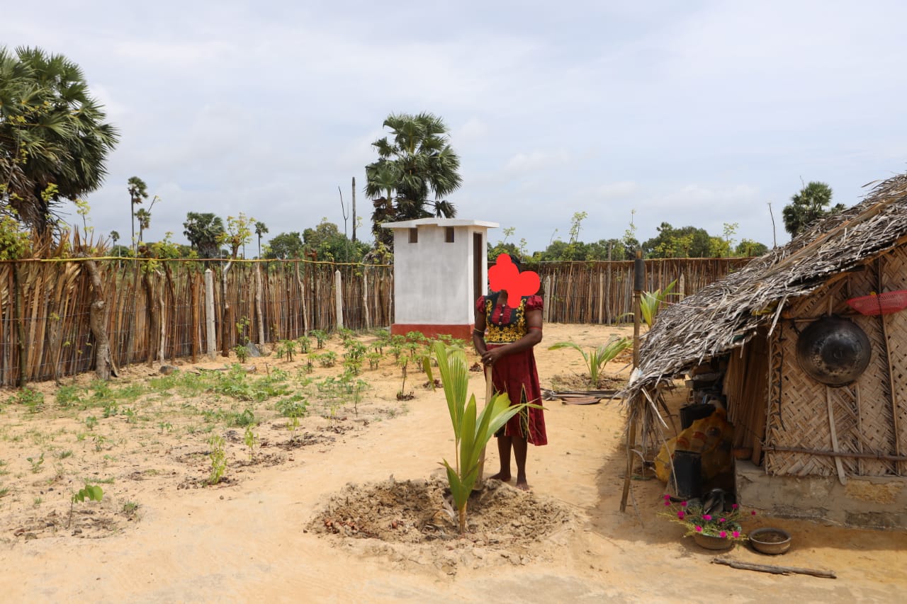 TREE PLANTING & POVERTY ELIMINATION – Lanka Fundamental Rights Organization