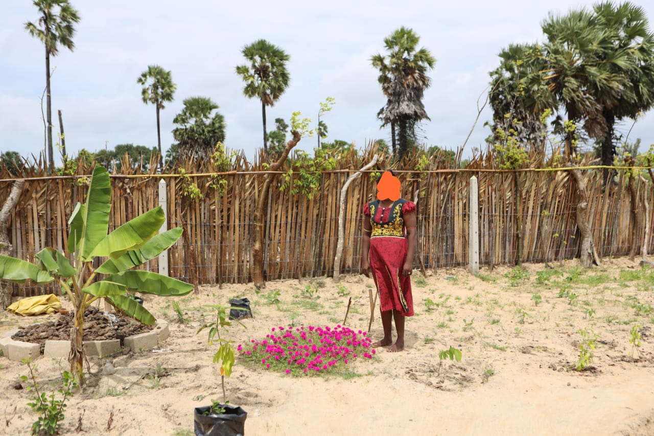 TREE PLANTING & POVERTY ELIMINATION – Lanka Fundamental Rights Organization