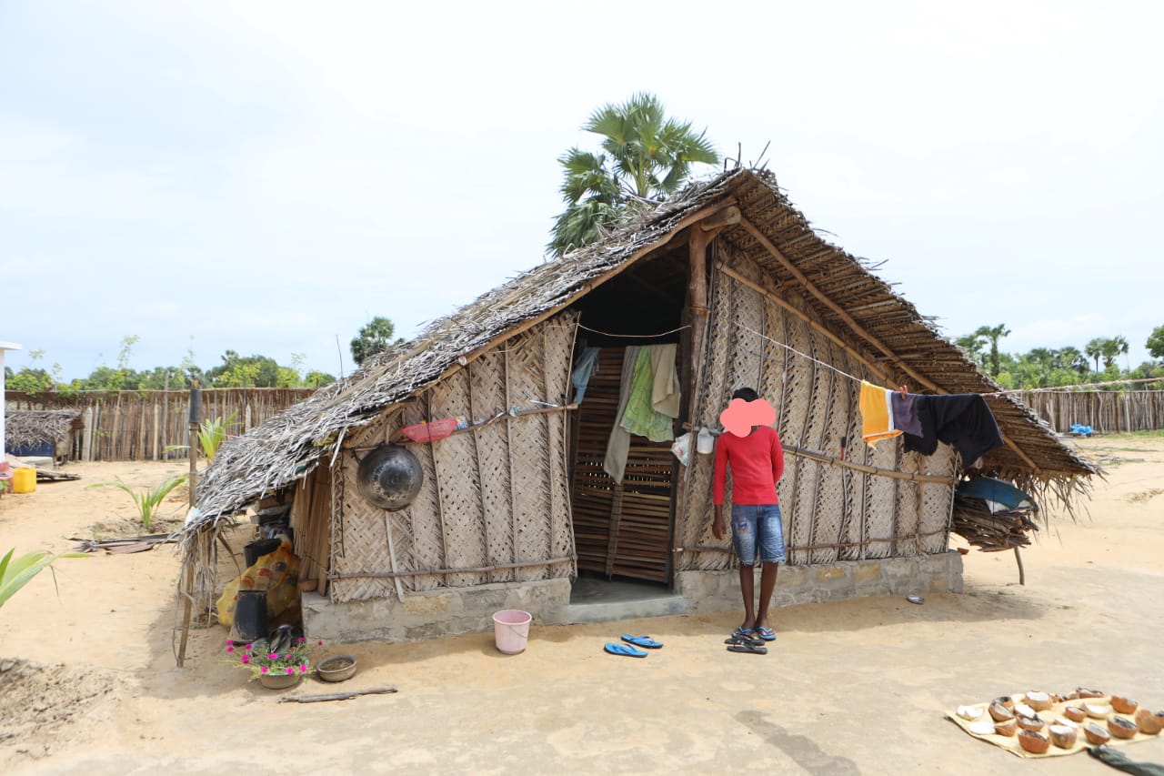 TREE PLANTING & POVERTY ELIMINATION – Lanka Fundamental Rights Organization