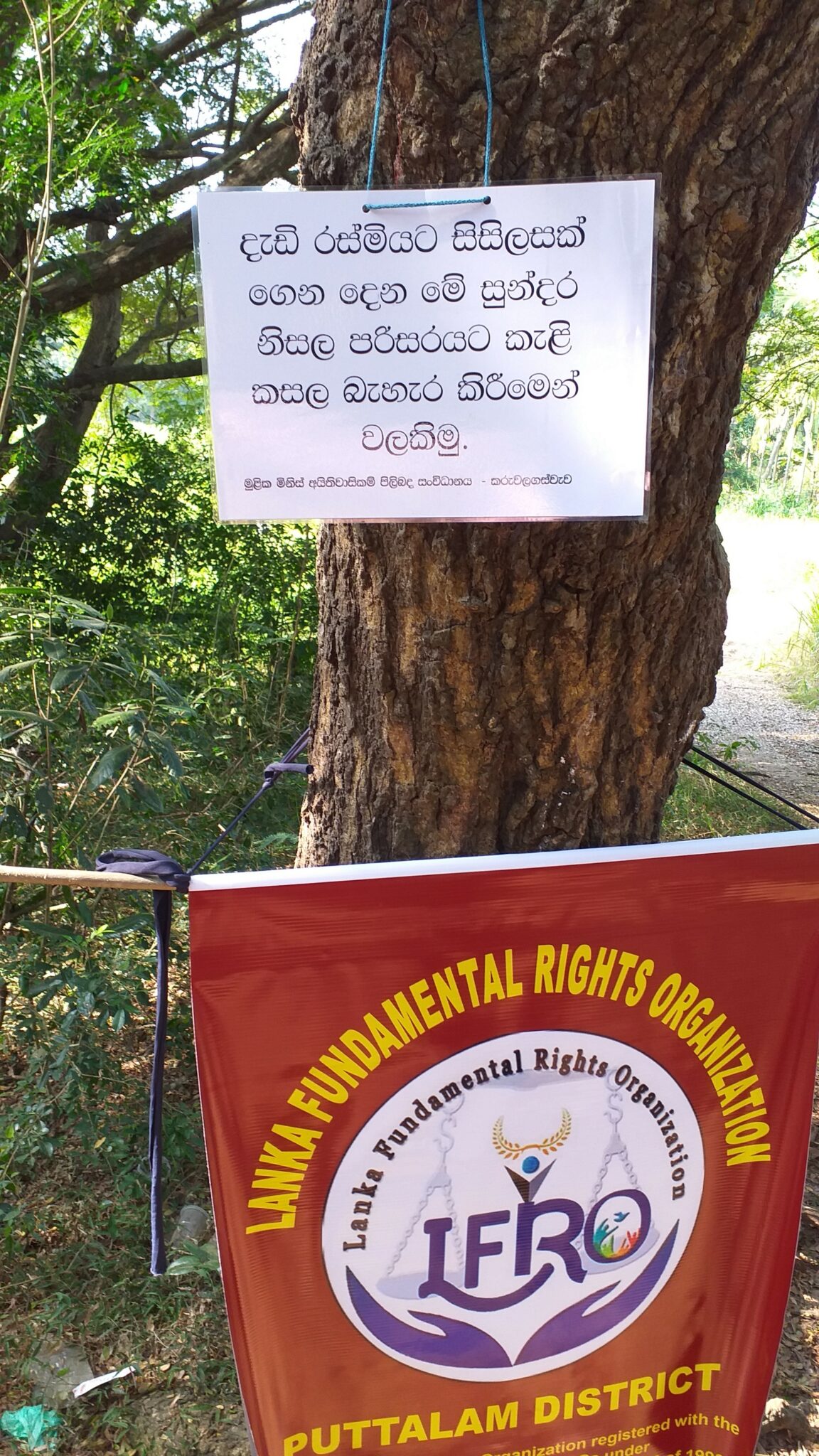 Tree Planting – Lanka Fundamental Rights Organization